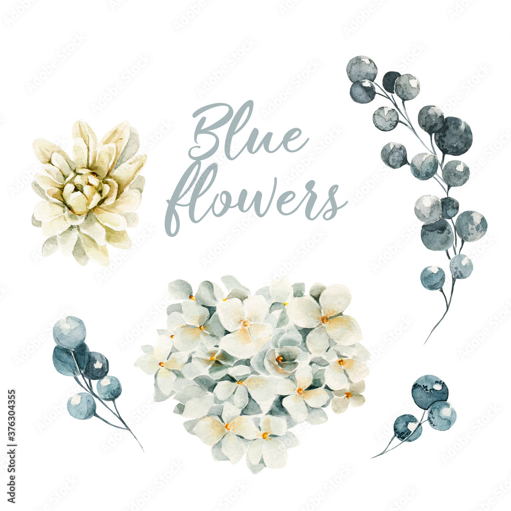 Watercolor floral composition. Hand painted blue flowers of hydrangea ...
