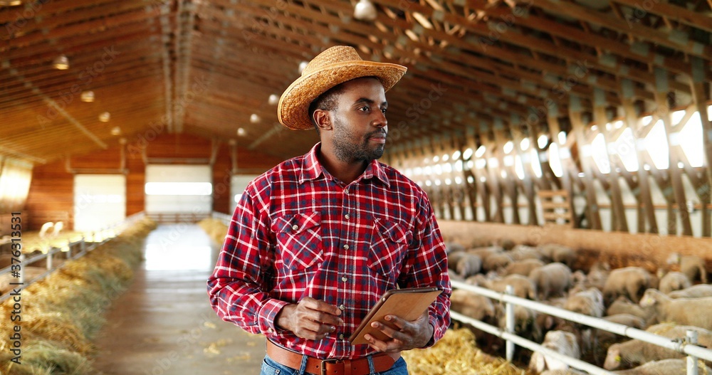 Young African American handsome man shepherd in hat standing in stable ...