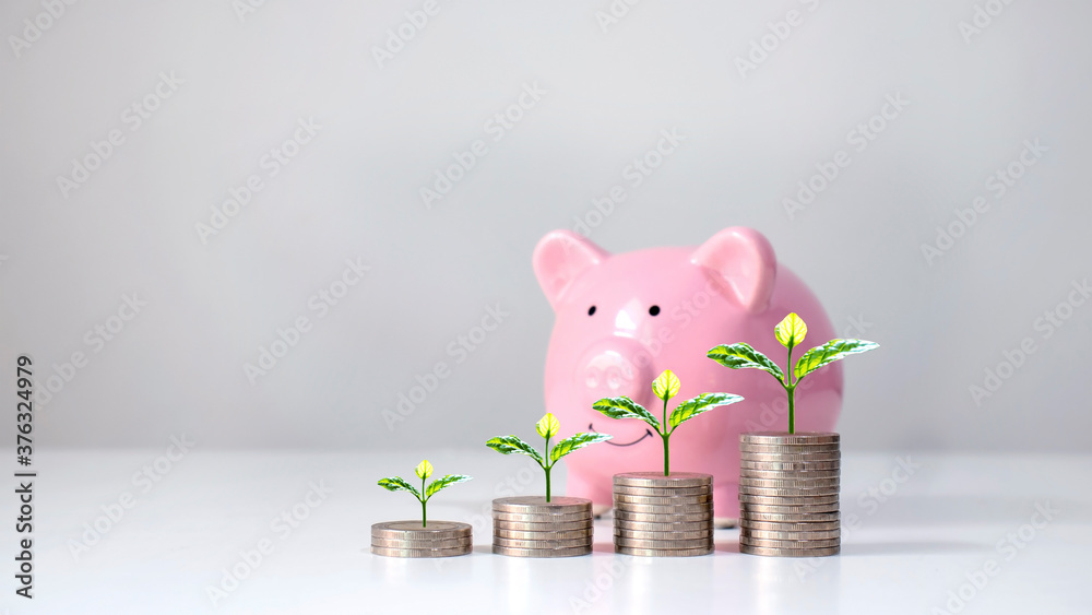 Coin graph shows financial growth and growing trees on coin stacks ...