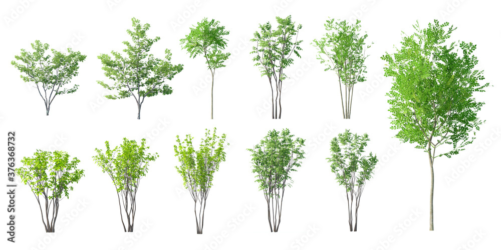 Collection of 3D green tree isolated on white background, for use ...