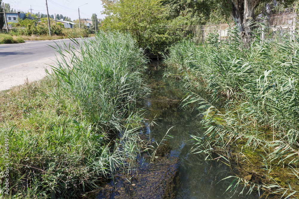 Large amount of debris and dirty wastewater causes rapid growth of ...