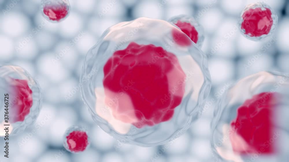 Stem cells colony, microbiology video. Science research. 3d render ...