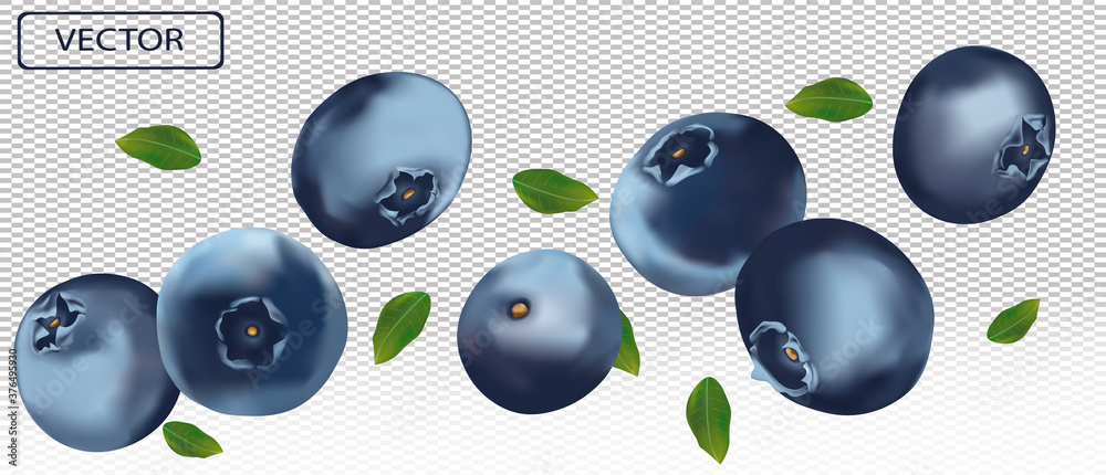 3D blueberry with green leaf. Juicy ripe berry blueberries on a ...
