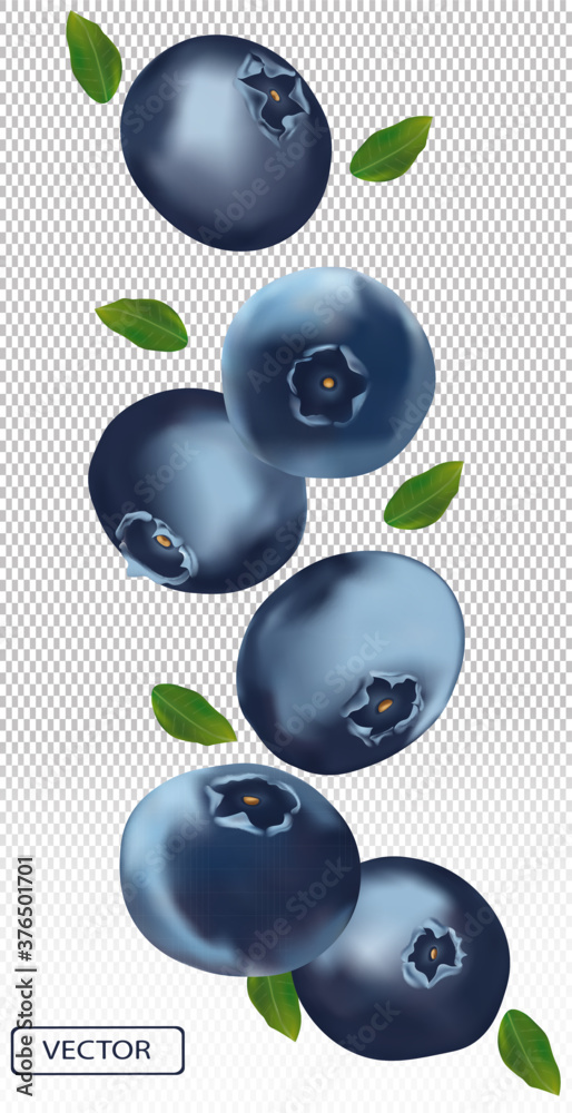 3D blueberry with green leaf. Juicy ripe berry blueberries on a ...