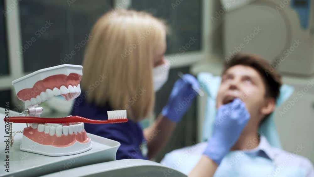 Close-up model of dental teeth. Sample of human jaw with a toothbrush ...