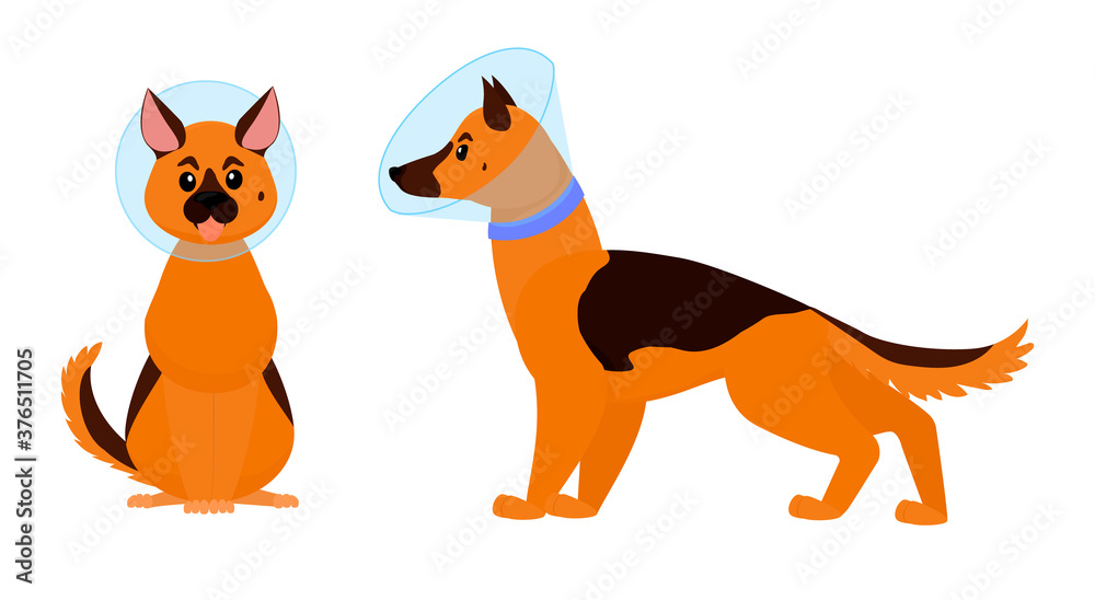 dog cone, cartoon dog with elizabethan collar isolated on white ...
