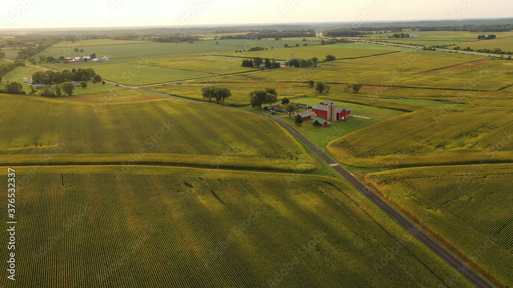 Aerial view of american Midwestern farm, corn field at harvesting ...