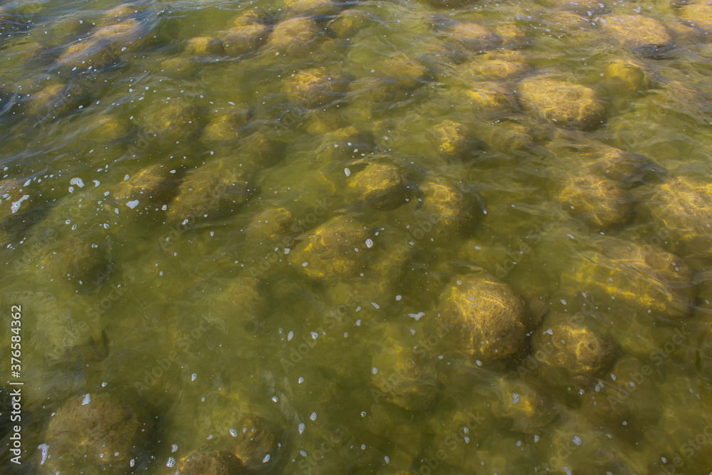 Rare colony of 6 kilometre long thrombolite living rocks calcium ...