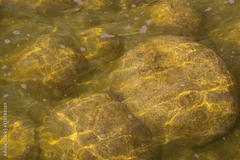 Rare colony of 6 kilometre long thrombolite living rocks calcium ...