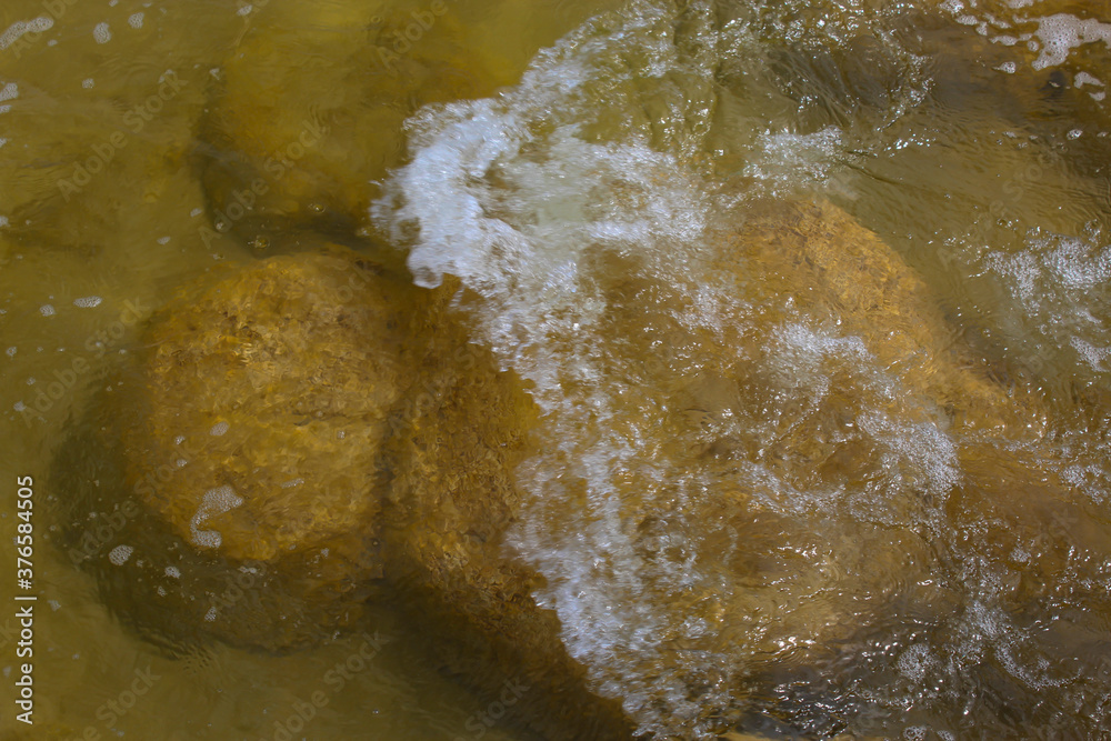 Rare colony of 6 kilometre long thrombolite living rocks calcium ...