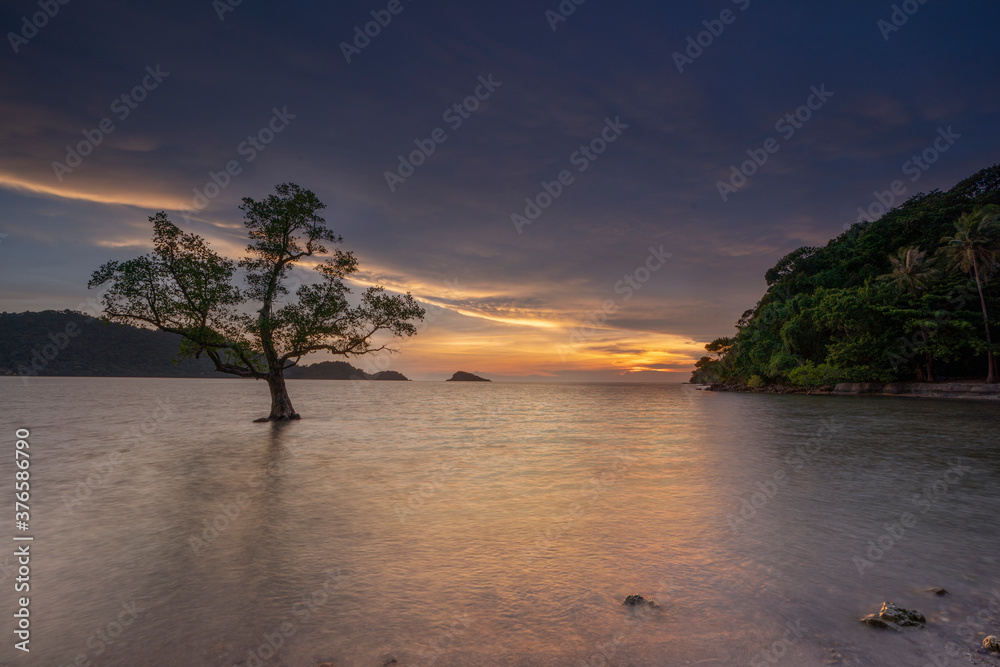 "travel, bay, water, sky, nature, ocean, tree, idyllic, seascape ...