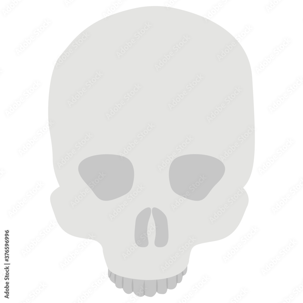 Human Skull Stock Vector | Adobe Stock