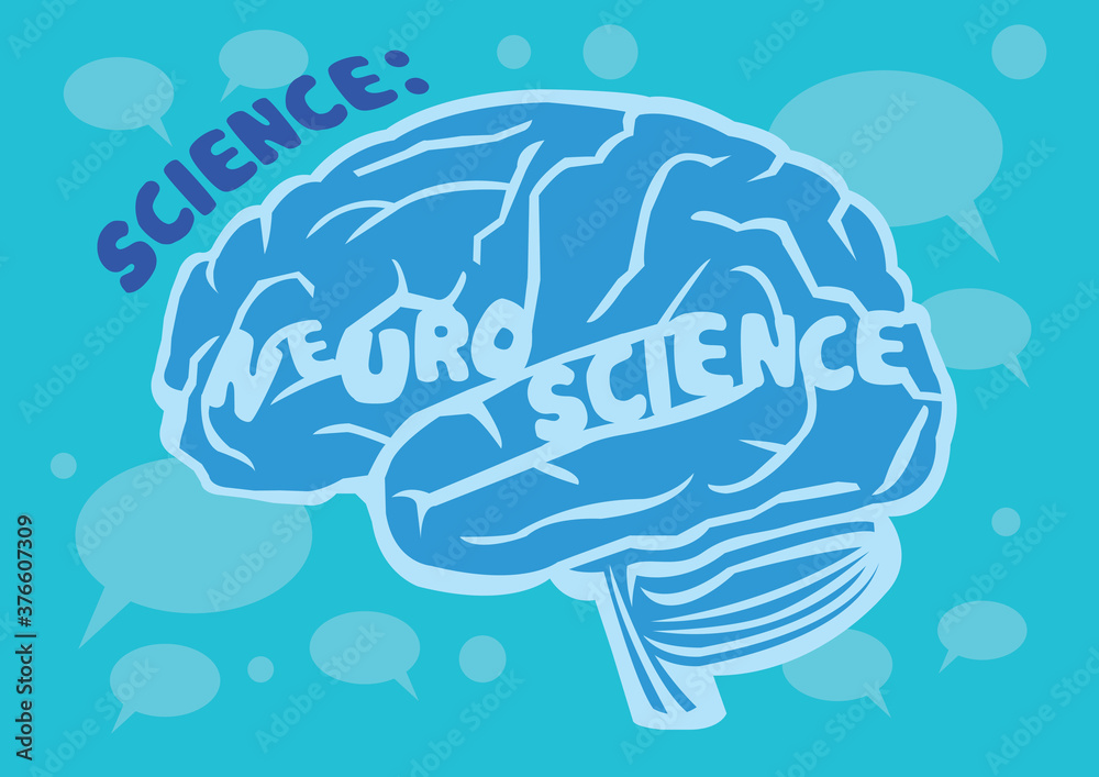 Human Brain Vector Illustration for Neuroscience Stock Vector | Adobe Stock