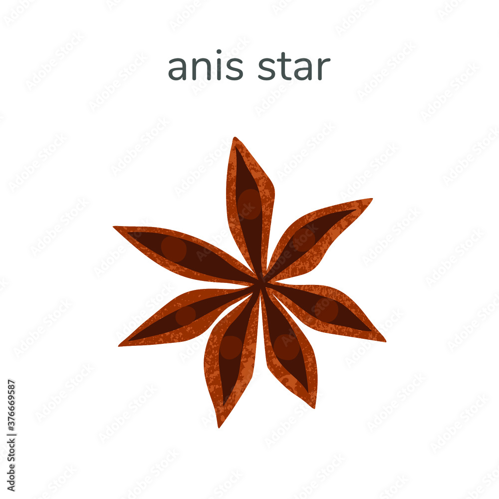 Vector illustration of dry anis star spice front view isotated on white ...
