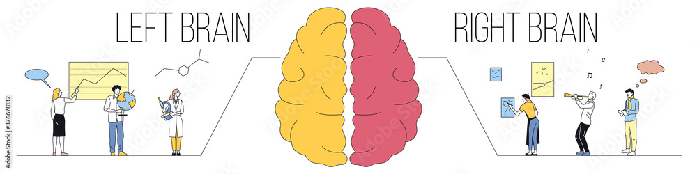 Right Vs Left Human Brain Functions Concept. Analytical, Logical Vs ...