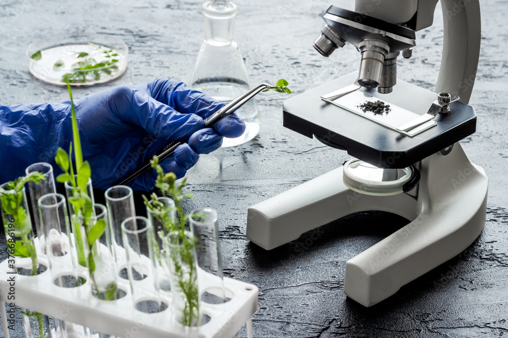 Biologist researching plants with microscope in biological chemistry ...