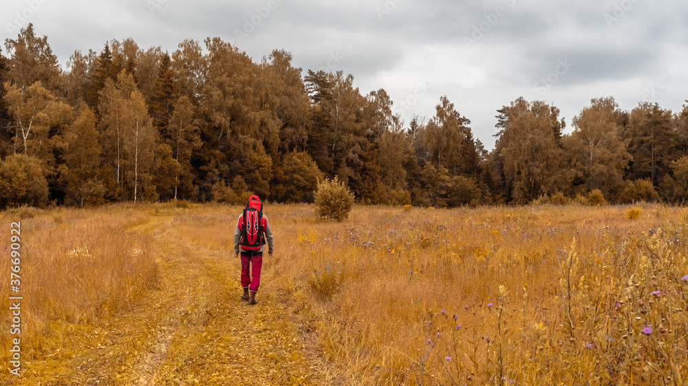 Autumn. Hiking. A sporty man going along field trail on autumn ...