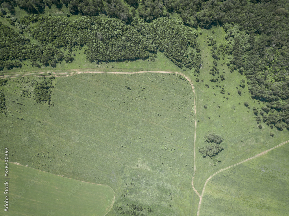 Aerial view of the outer wood with footpath at summer day. Edge of the ...