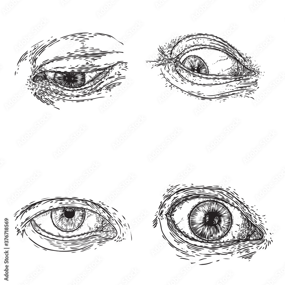 Set of various drawing of the human eye in different direction and ...