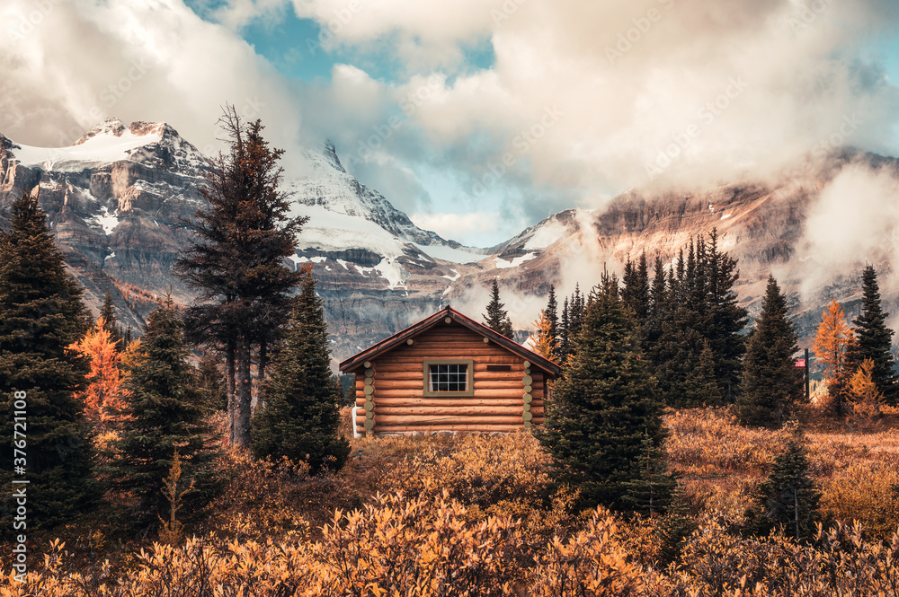 Poster Wooden hut with Assiniboine mountain in autumn forest at ...