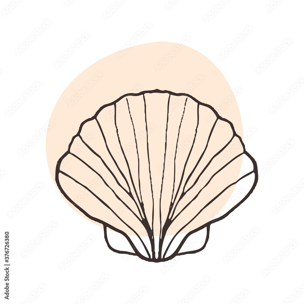 Scallop shell from the seabed. Sketch drawing in tattoo style, black ...