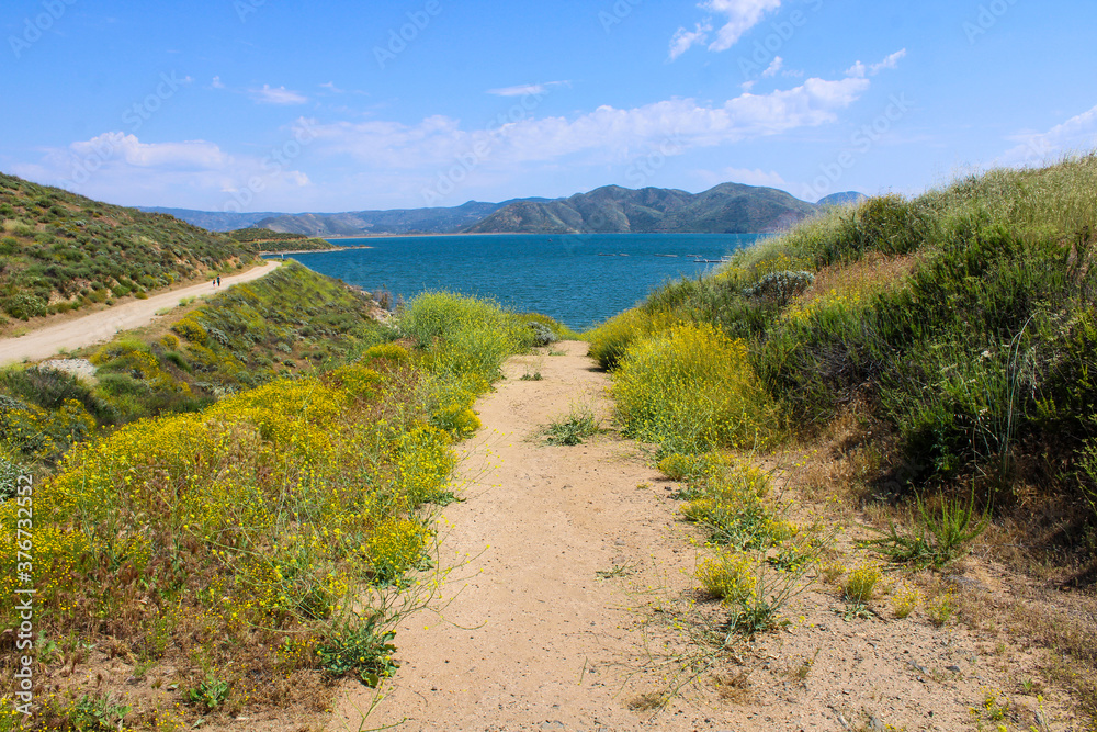 hiking trail surrounded by yellow flowers and lush green foliage and ...