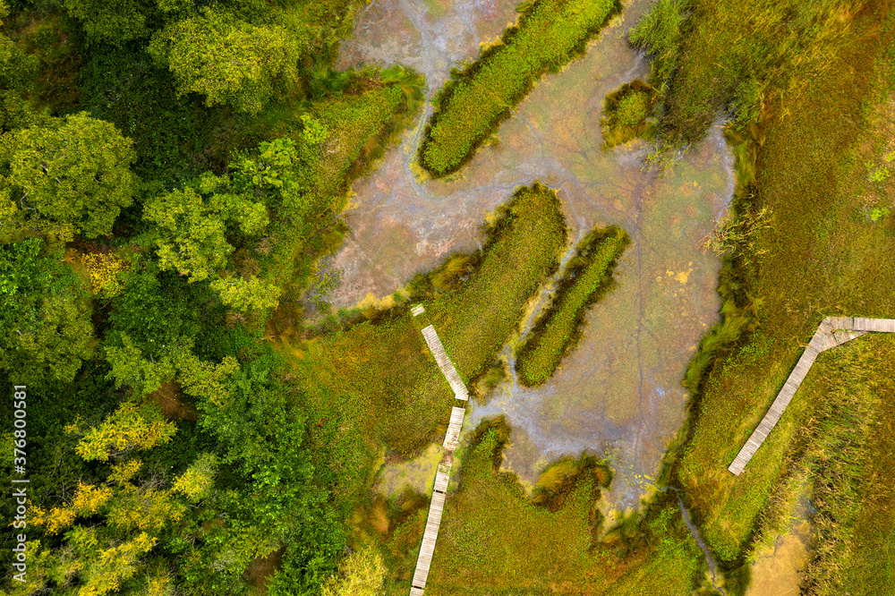 Abstract Overhead View of a Wetland Slough in the Pacific Northwest. An ...