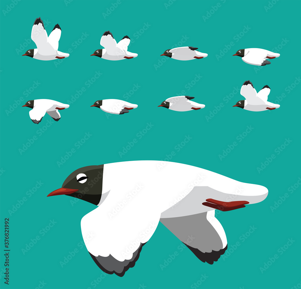 Black Head Gull Flying Animation Sequence Cartoon Vector Stock Vector ...