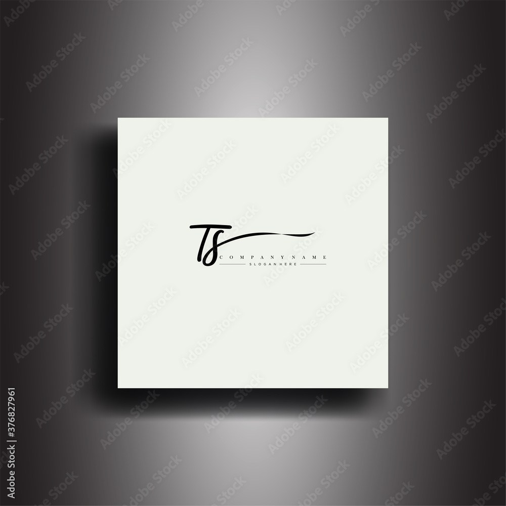 TS Signature style monogram.Calligraphic lettering icon and handwriting ...