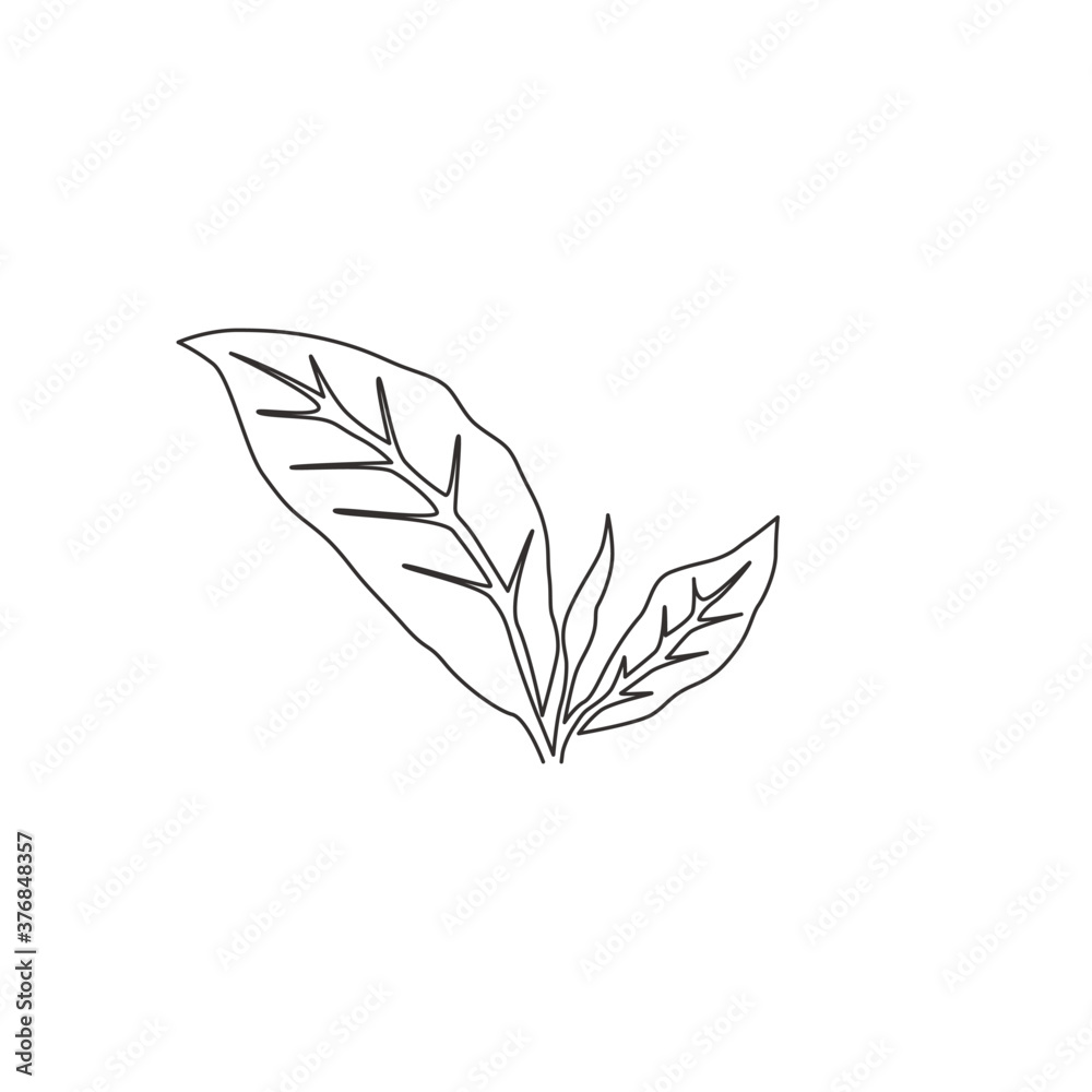 Single continuous line drawing healthy organic tea leaves for ...