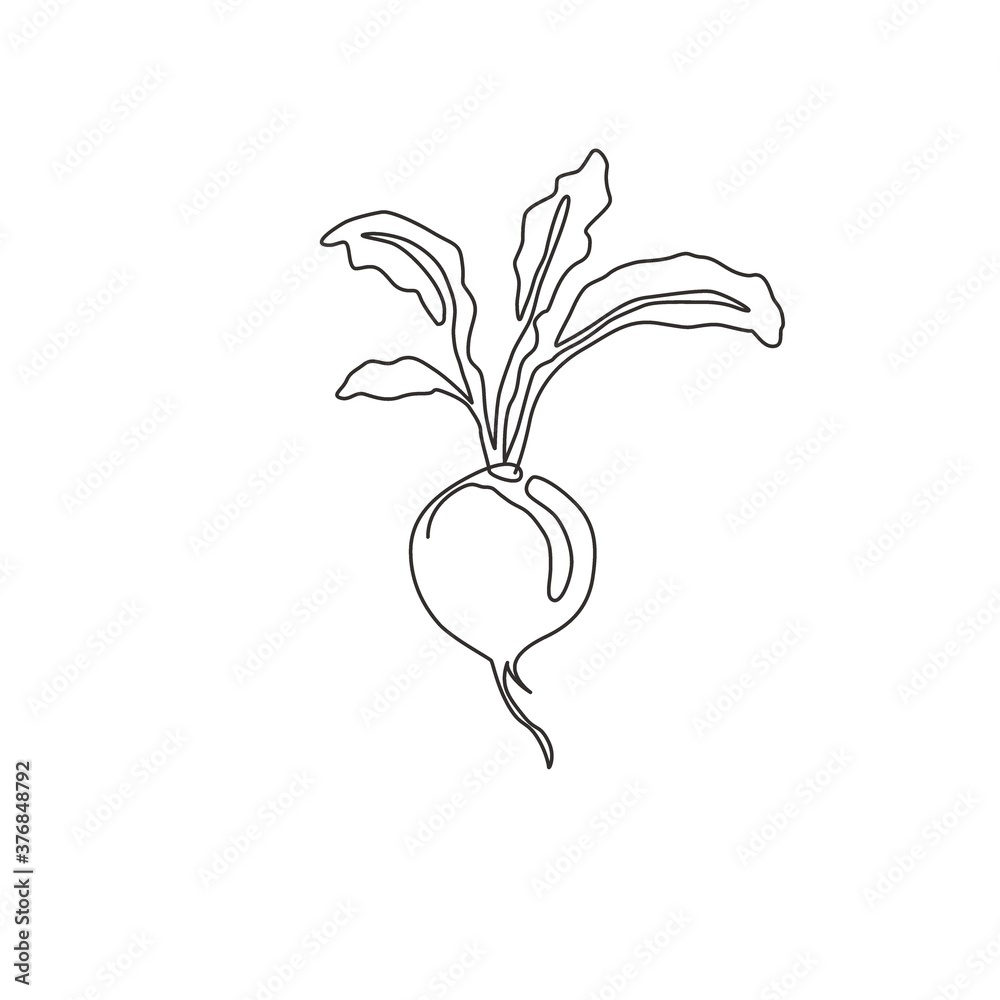 Root Vegetable Drawing