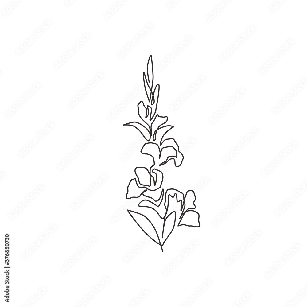 One single line drawing of beauty fresh gladiolus for home wall art ...