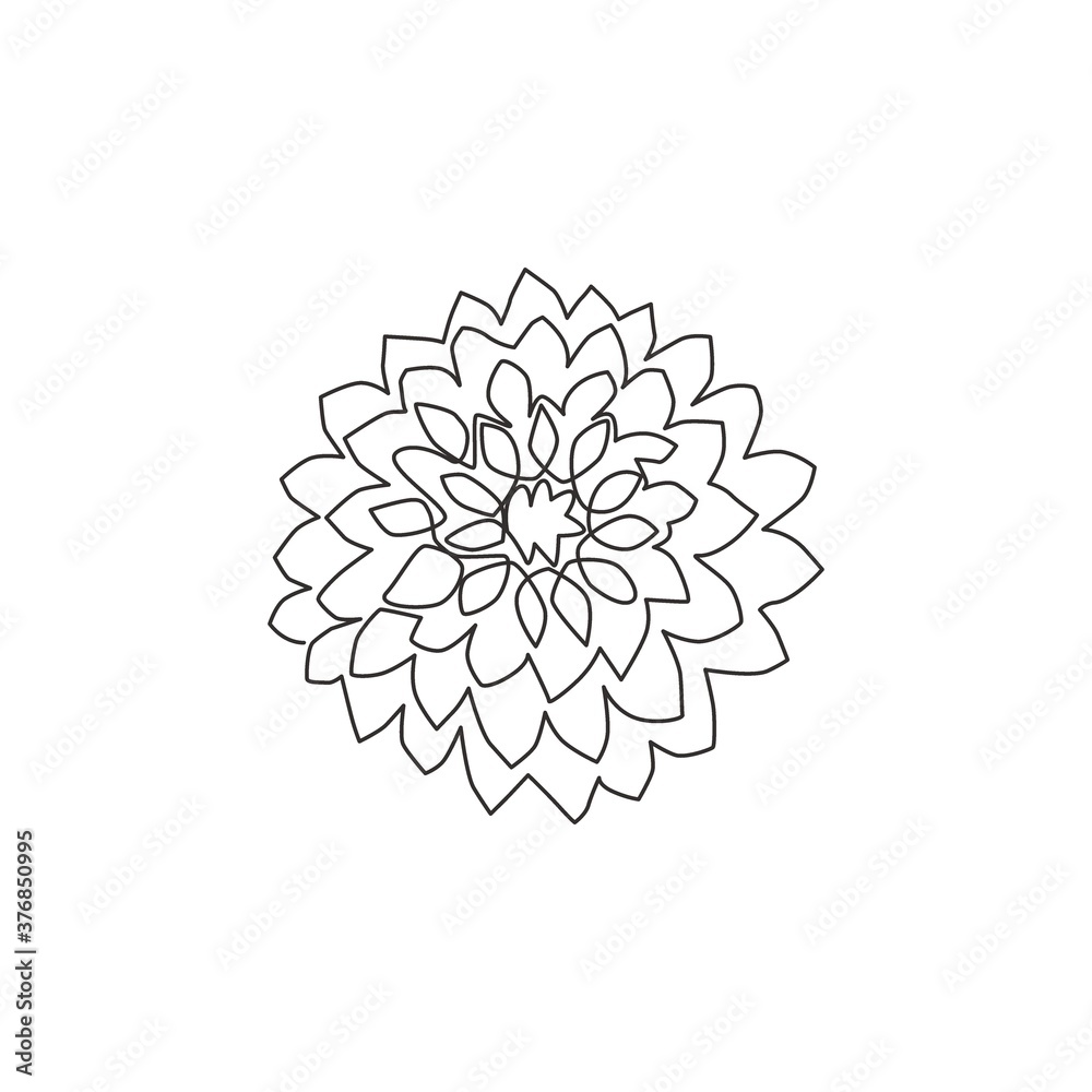 Mexican Flower Drawings