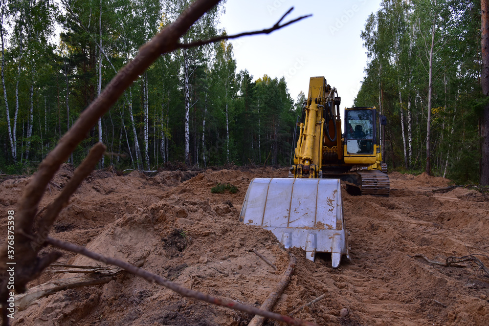 Excavator clearing forest for new development and road work. Backhoe ...