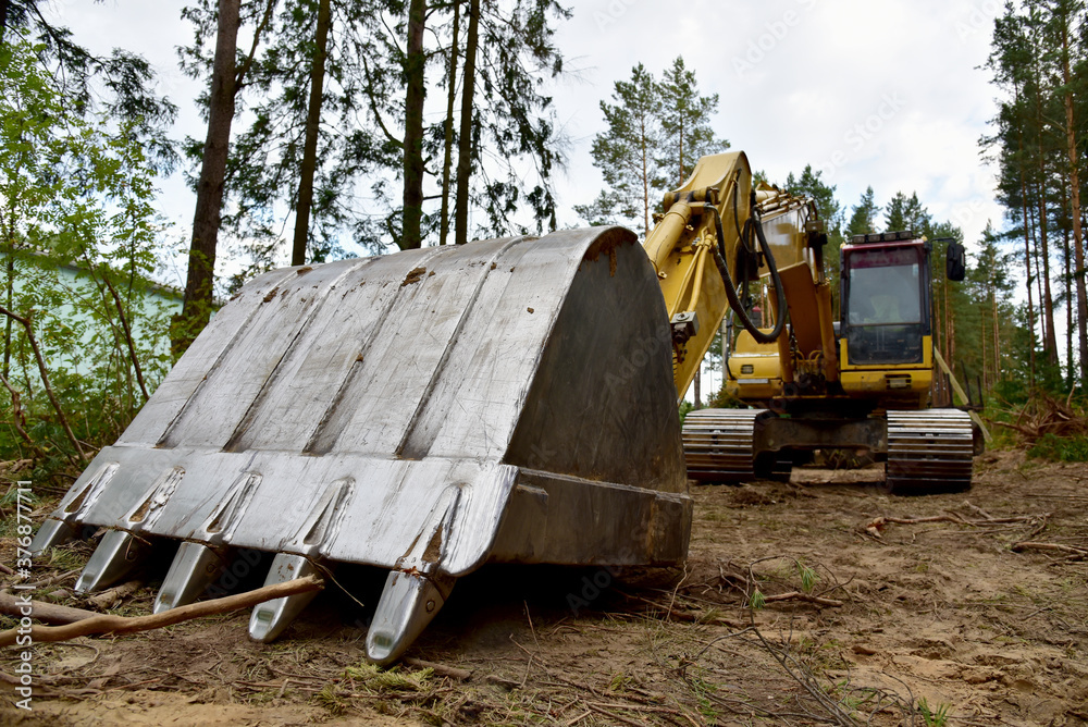 Excavator clearing forest for new development and road work. Backhoe ...