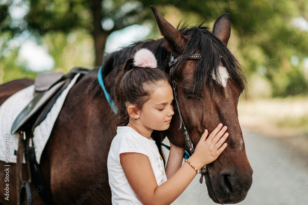 Friendship of a child with a horse. A little girl is affectionately ...