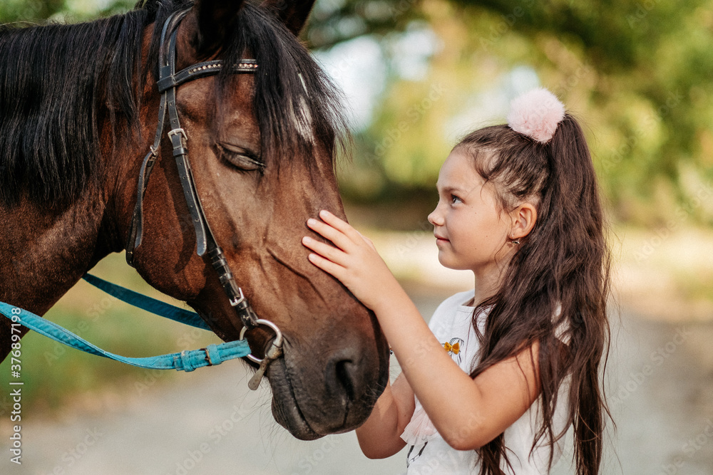 Friendship of a child with a horse. A little girl is affectionately ...