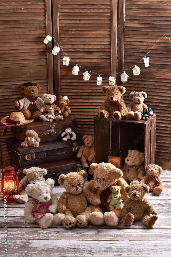 Teddy Bear Cottage Chic Photography