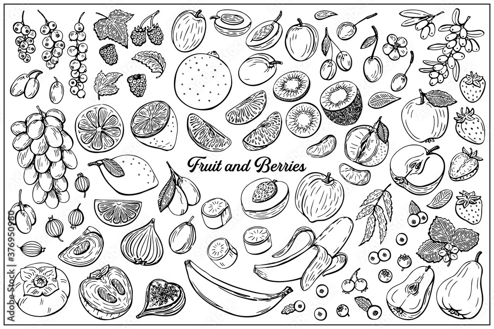 Fruit and berry assorted set. Are hand-draw vintage engraving ...