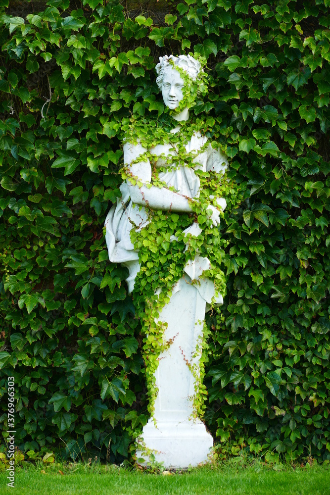 Ancient statue of a woman in white stone, wild ivy and grape plants ...