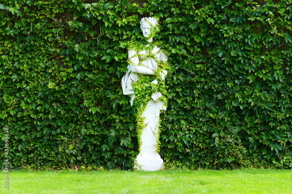 Ancient statue of a woman in white stone, wild ivy and grape plants ...