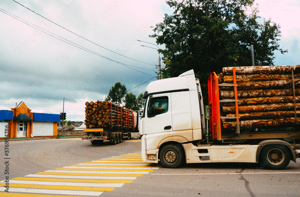 truck transporting logs from freshly cut forest, oversized cargo ...