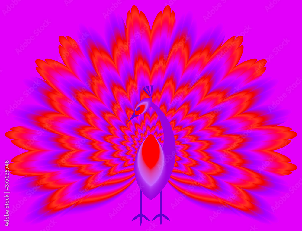 Peacock With Red Pulsing Tail Optical Expansion Illusion Stock Vector Adobe Stock