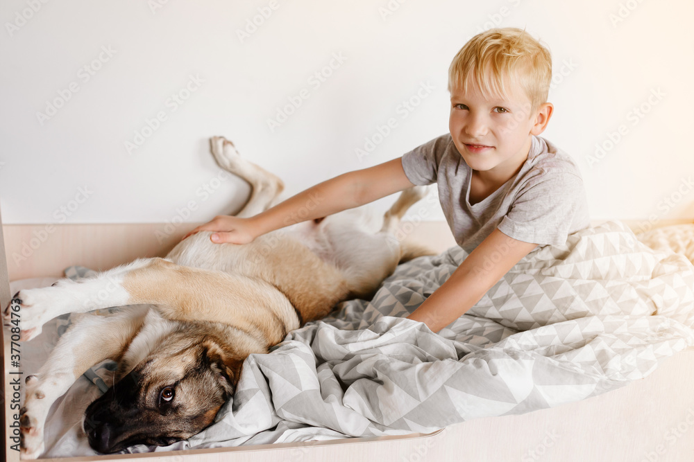 Morning of a boy and his dog. A seven year old child and his dog wake ...