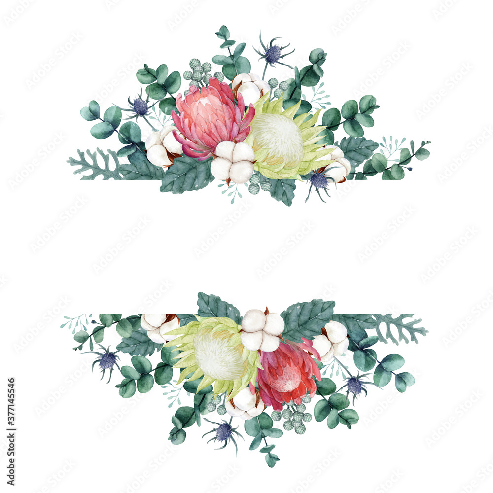 Watercolor Floral Border with protea and cotton flowers Stock Vector ...