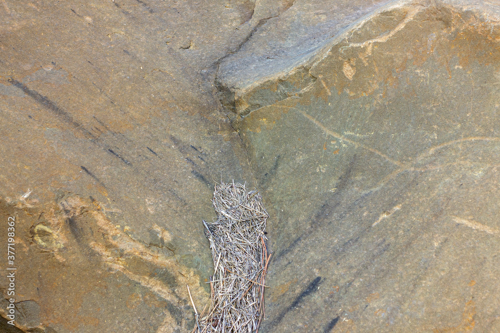 The texture of natural stone on the cut is a material for creative ...