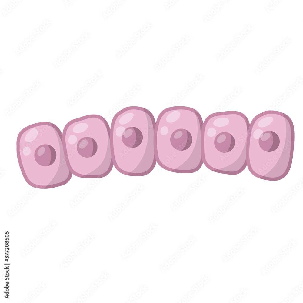 Cell of human organism. Layer of epidermis. Scientific material for ...