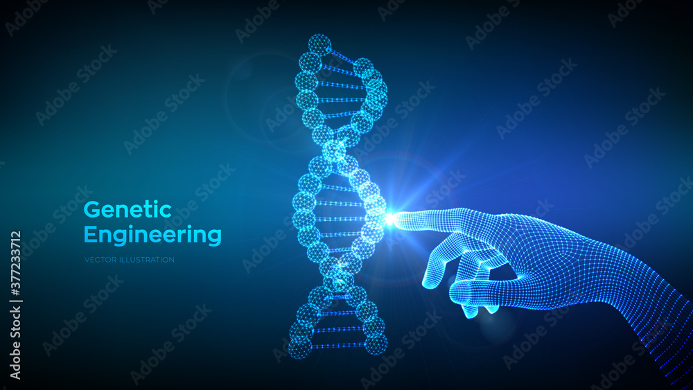 Hand touching DNA sequence molecules structure mesh. Wireframe DNA code ...
