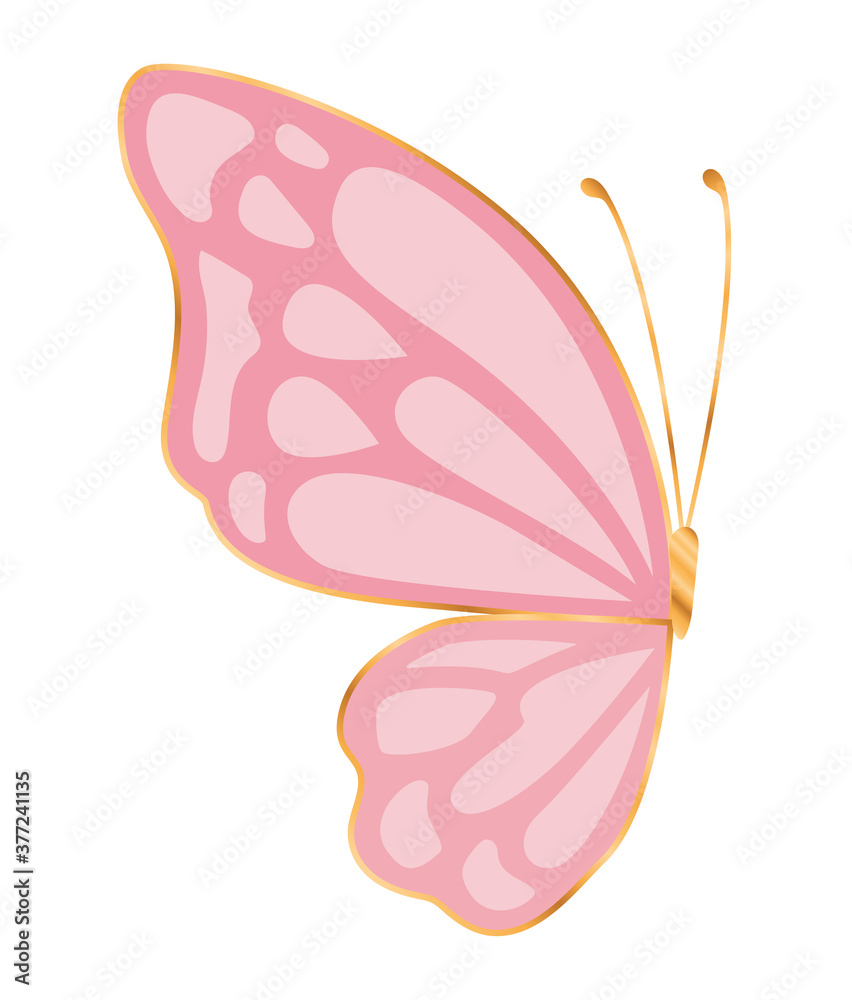 half pink butterfly vector design vector de Stock | Adobe Stock