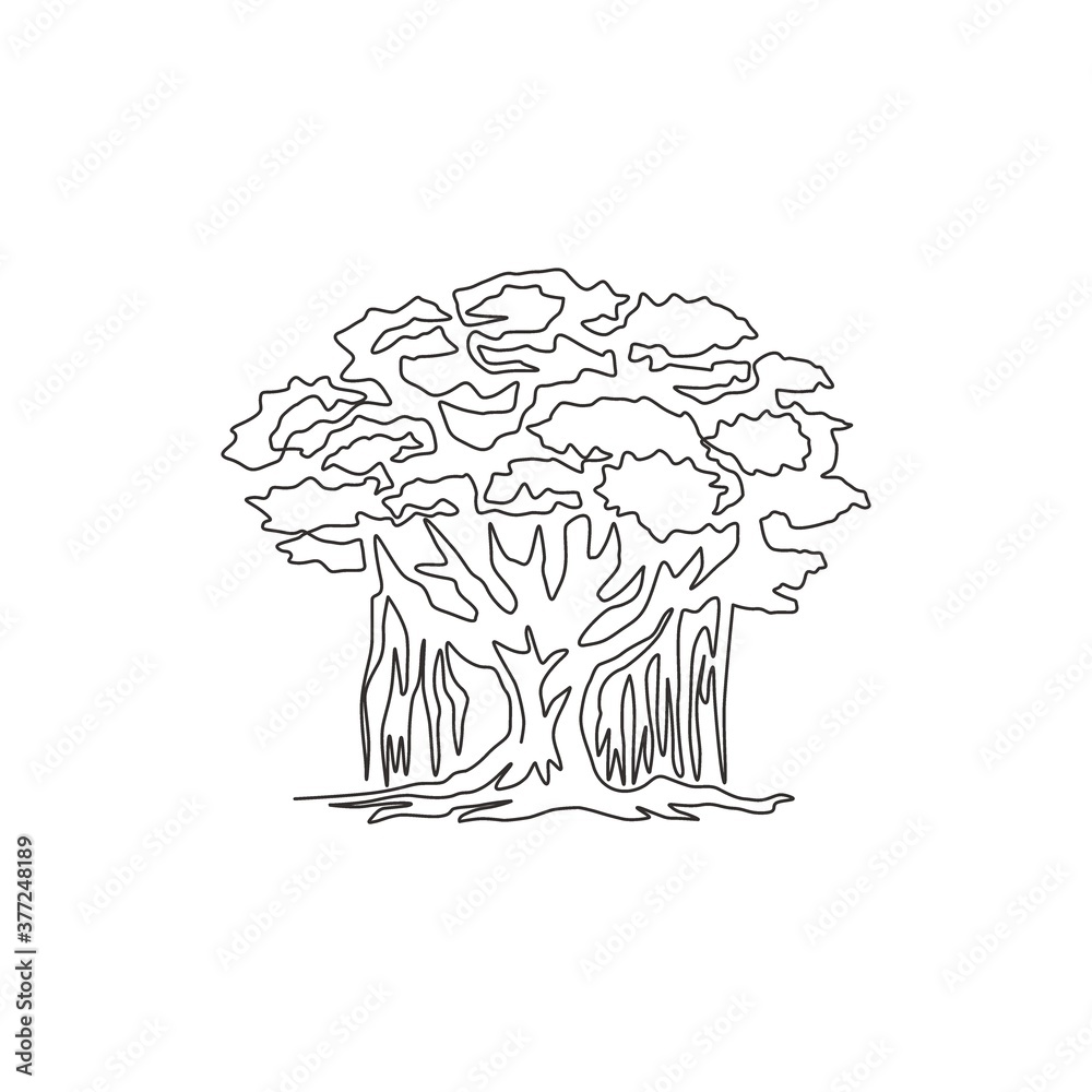 Banyan Tree Outline